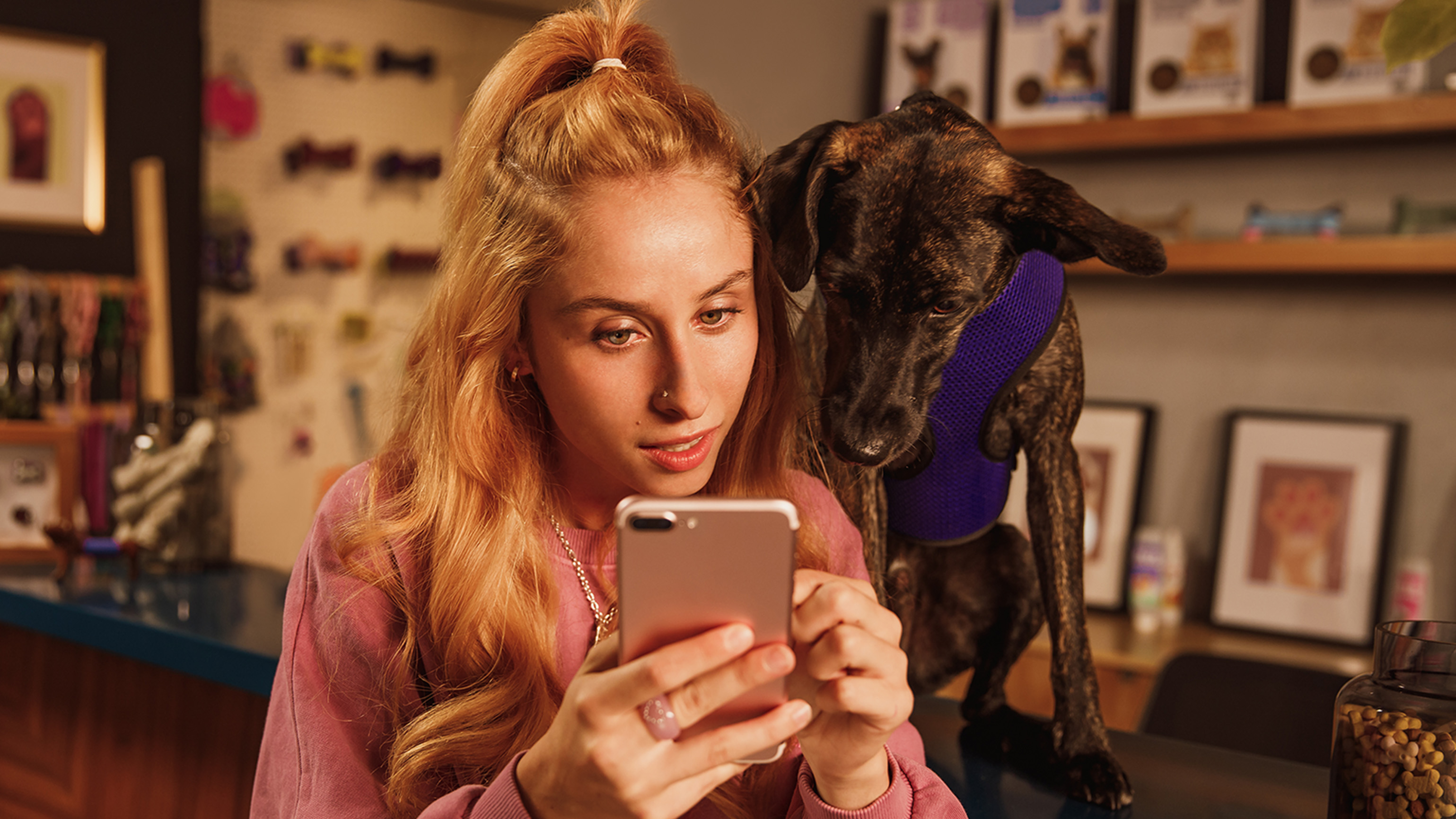 ¿Cómo checar mi buró de crédito gratis? - Blog Nu México